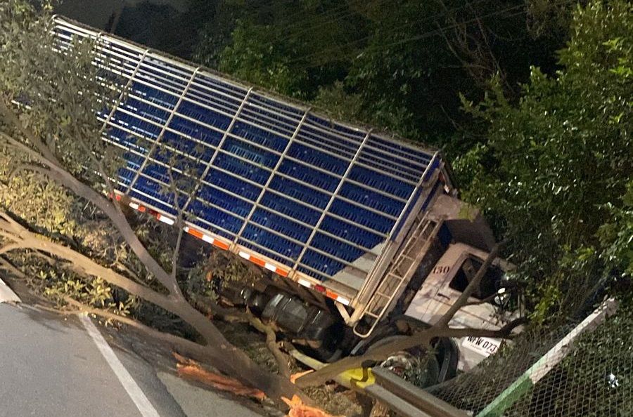 VIDEO: ‘El vuelo’ de un camión cargado de pollos terminó con aparatoso ...
