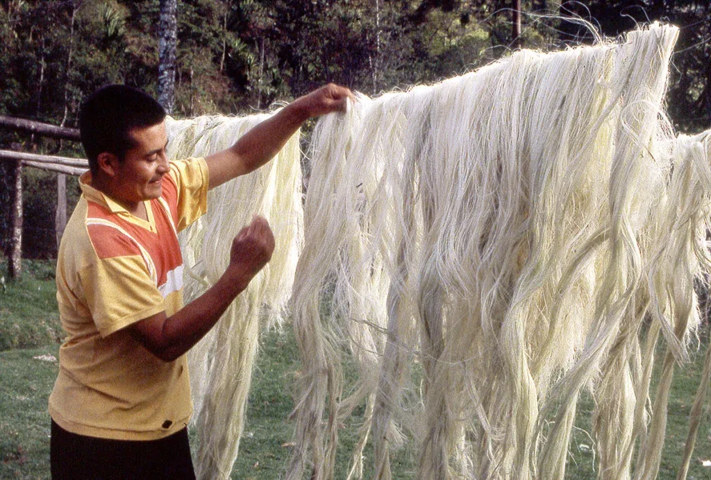 Artesanos del fique dispuestos a paralizar carreteras en Santander