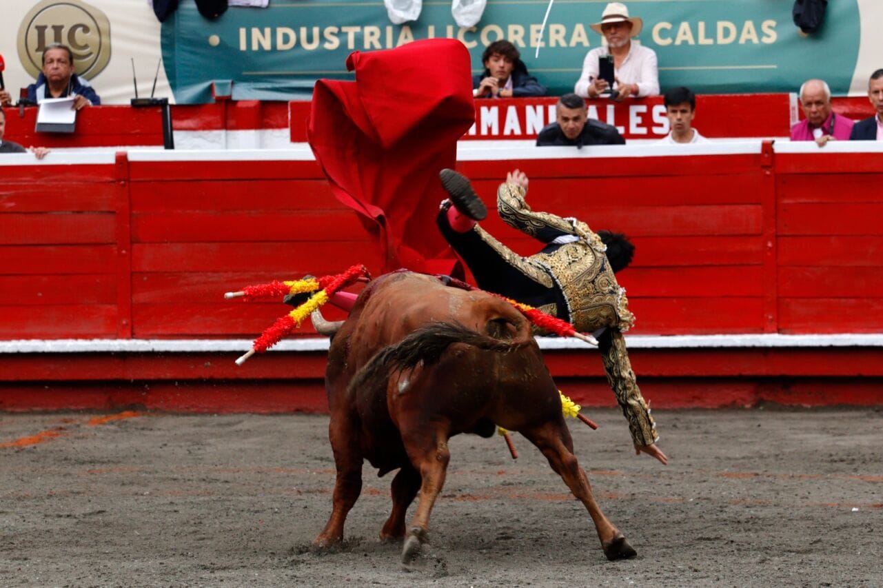 Torero sufre cornada durante la Feria de Manizales